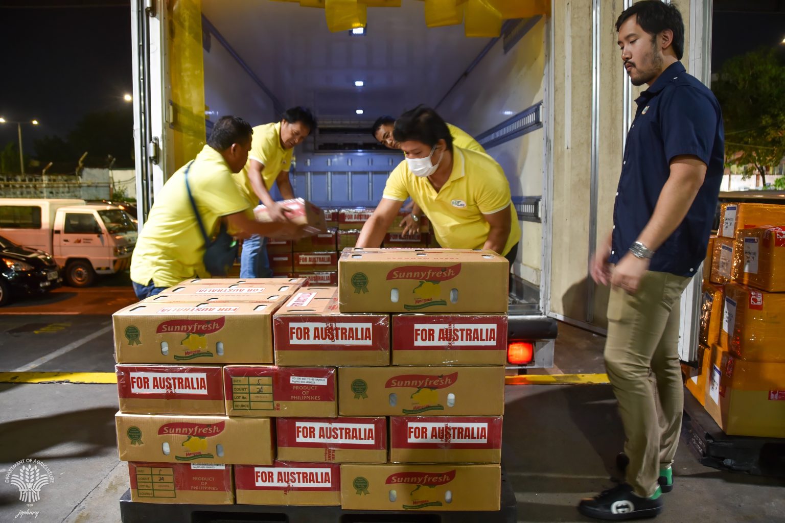 Philippine fresh mango export to Australia starts anew | BusinessChannel.ph